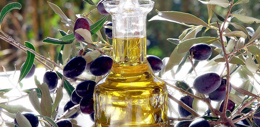 Olio, annata di carica in Puglia (+40% su 2024/2025) ma non da record ...