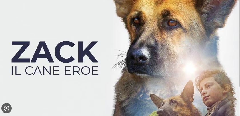 Il film del mese: Zack - Cane eroe - Corriere Salentino Lecce