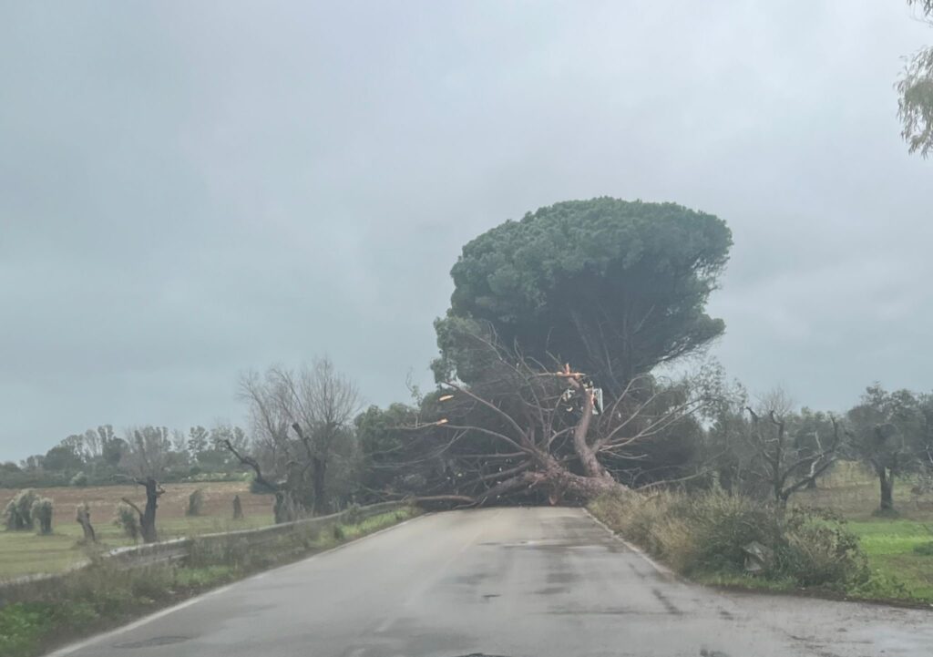 Frigole ancora in emergenza, Rotundo: “Acqua con il contagocce per ...