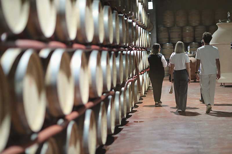 Conti Zecca: l'anima del Salento in un calice di vino - Corriere ...