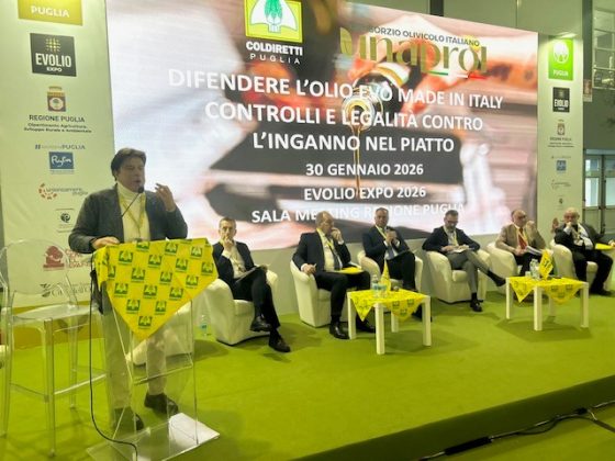 Olio: nel 2025 mercati invasi da mezzo miliardo di chili di prodotto ...