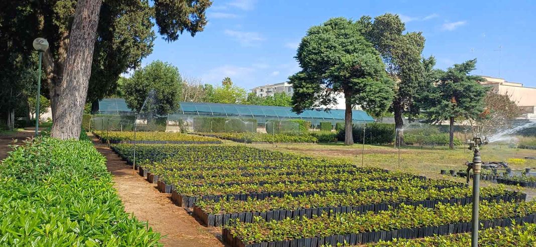 Fai per la Biodiversità, sabato il Vivaio forestale regionale ARIF ...