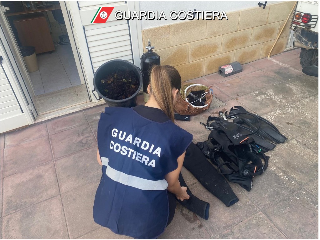 Operazione della Guardia costiera contro la pesca illegale di ricci di ...