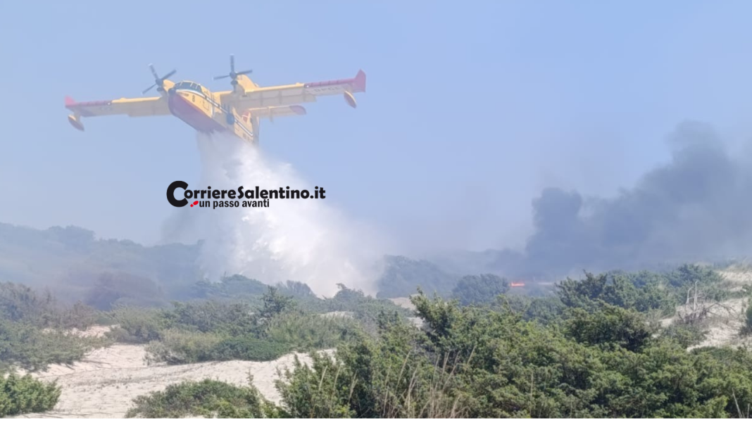 Inferno di fuoco a Torre San Giovanni: pineta e lido distrutti dalle ...