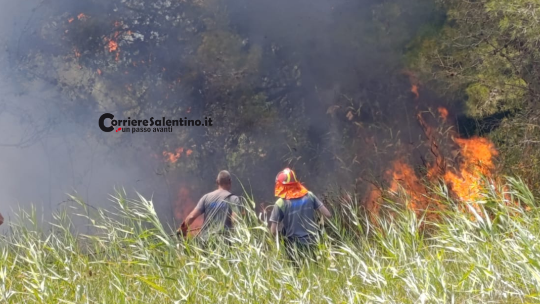 Inferno di fuoco a Torre San Giovanni: pineta e lido avvolti dalle ...