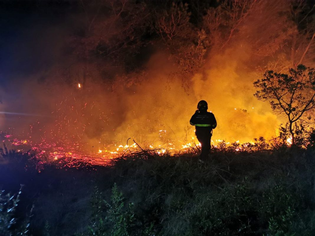 Fiamme, scatta l’allerta massima: Lecce blinda le campagne. Ma sull ...