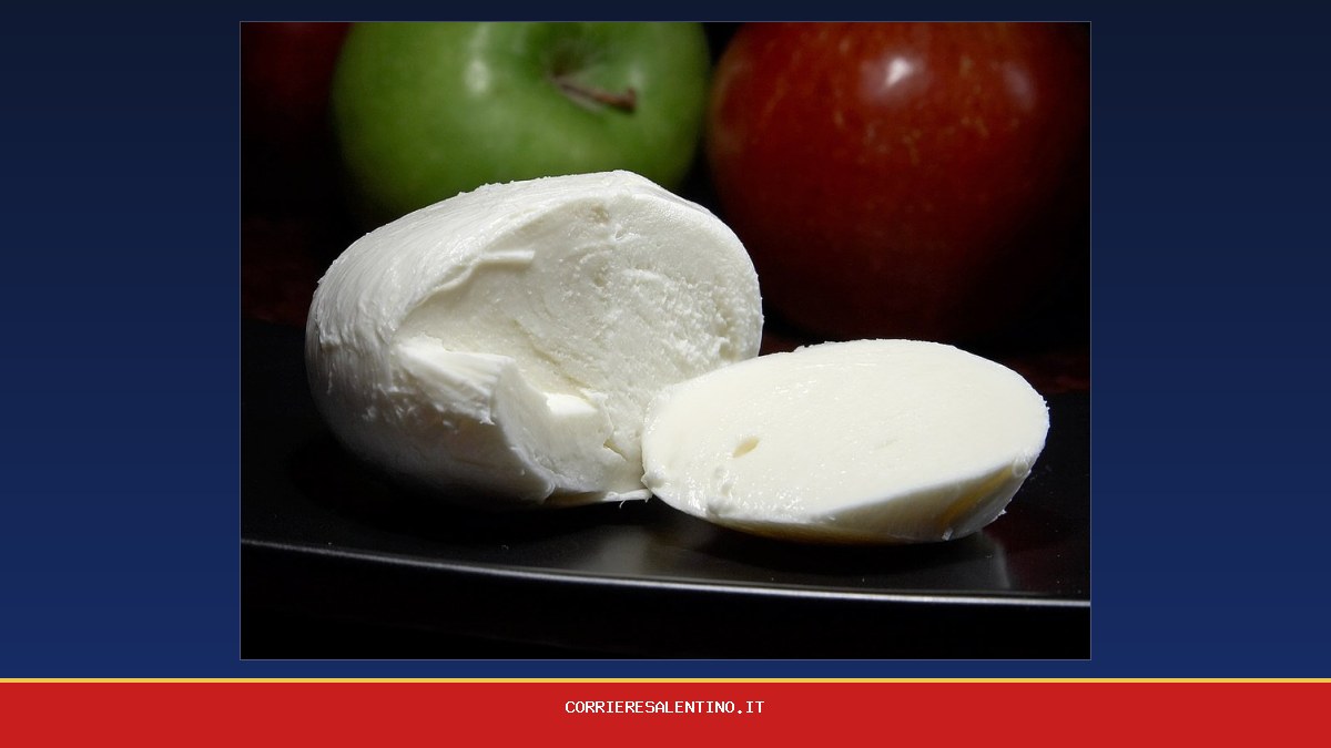 La ricetta del giorno: Mozzarella fritta - Corriere Salentino Lecce