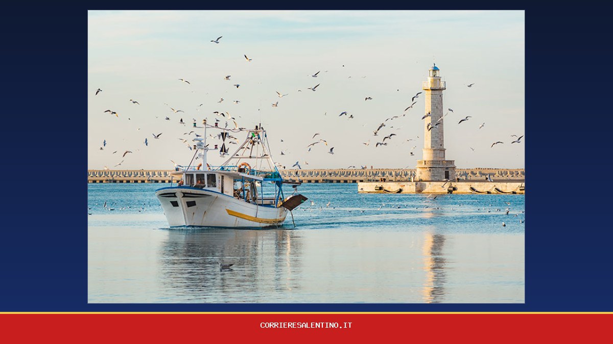 Fermo pesca in Adricatico da Manfredonia a Bari fino al 29 settembre ...